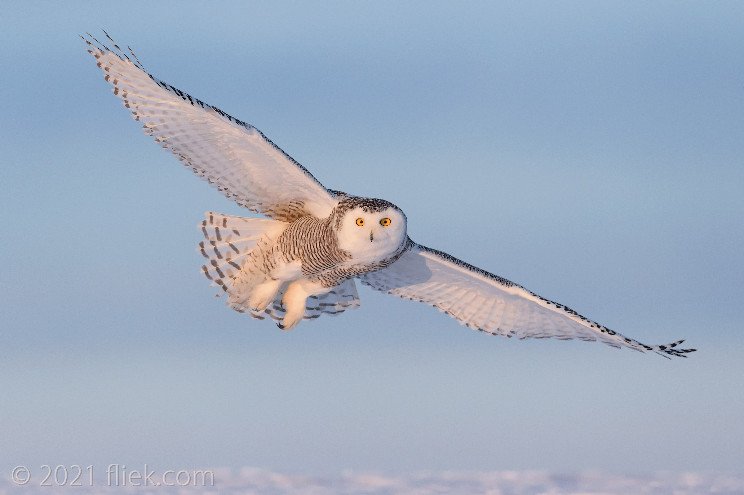 Life/Nature – Photography by Henk Fliek